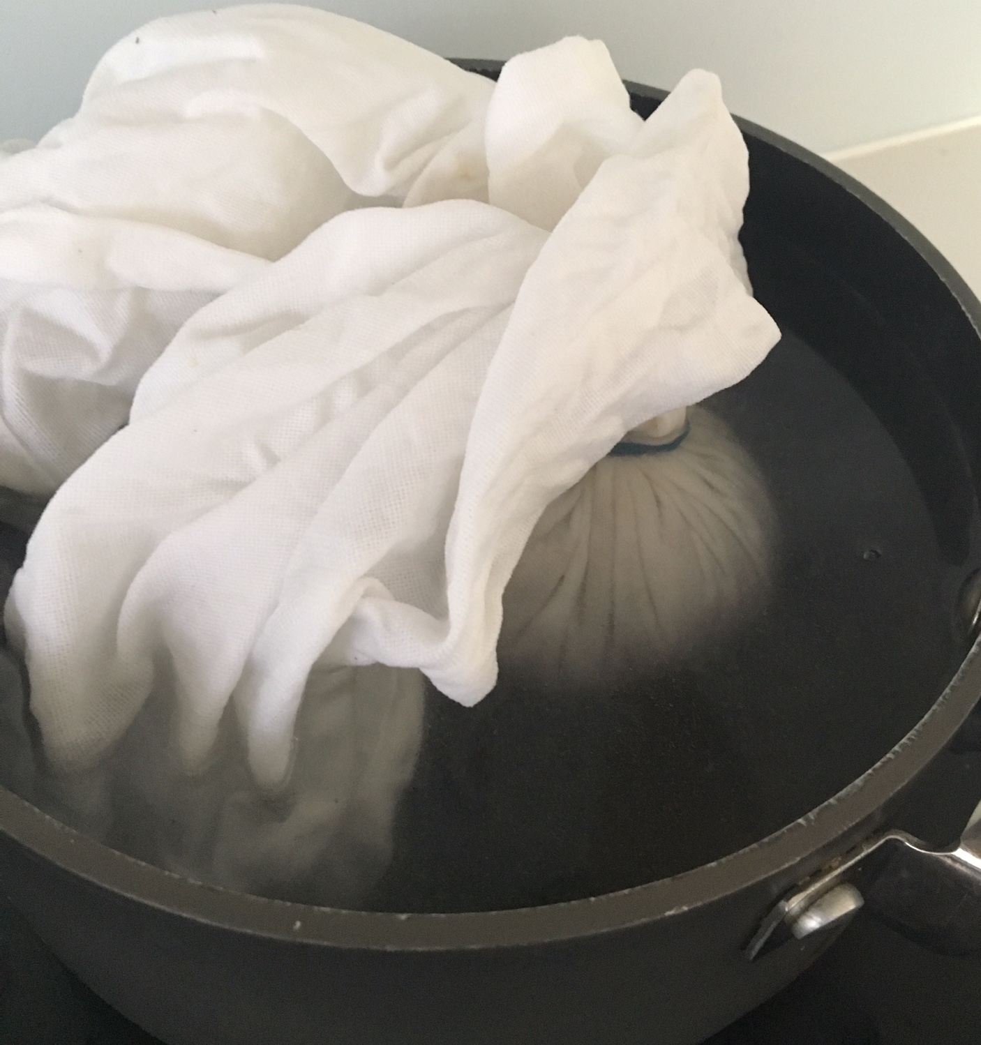 ginger – Sweet Tooth Experiments